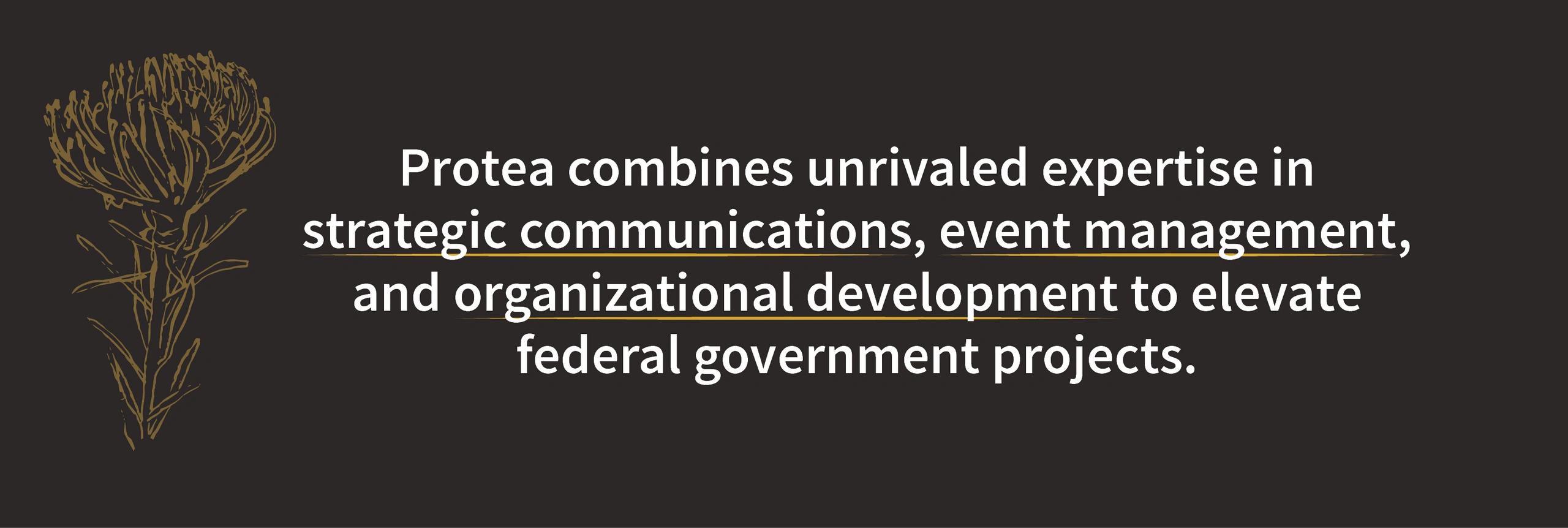 The Protea Group LLC